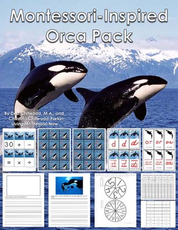 Free Orca Printables and Montessori-Inspired Orca Activities - Living ...