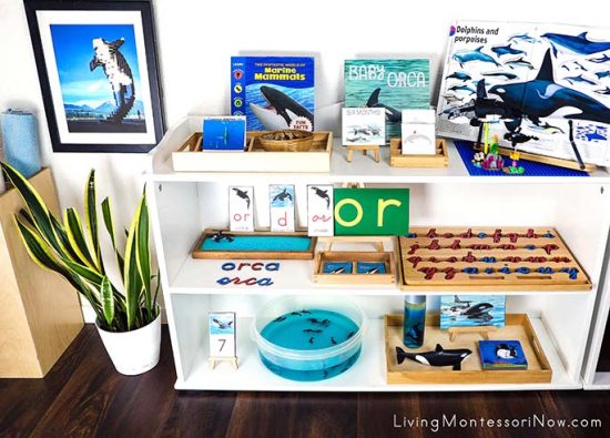 Free Orca Printables and Montessori-Inspired Orca Activities - Living ...
