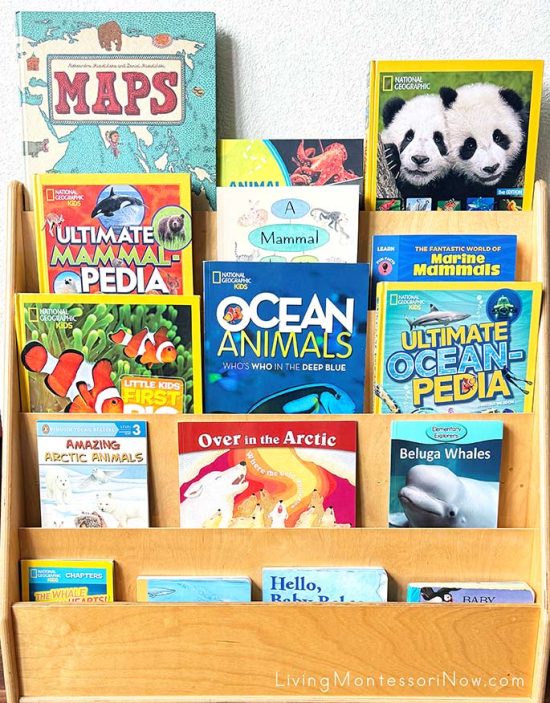 Favorite Books for a Beluga Whale Theme - Living Montessori Now